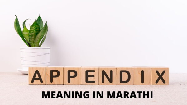 Appendix meaning in Marathi | Appendix operation in Marathi