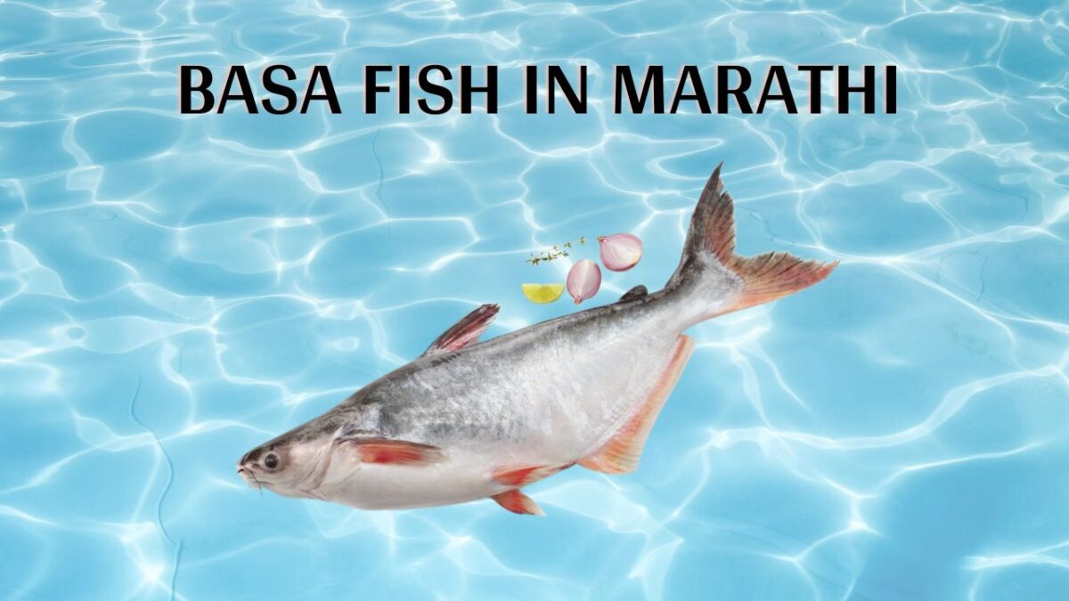 बासा मासा म्हणजे काय ? Basa Fish benefits in marathi | Basa Fish in marathi