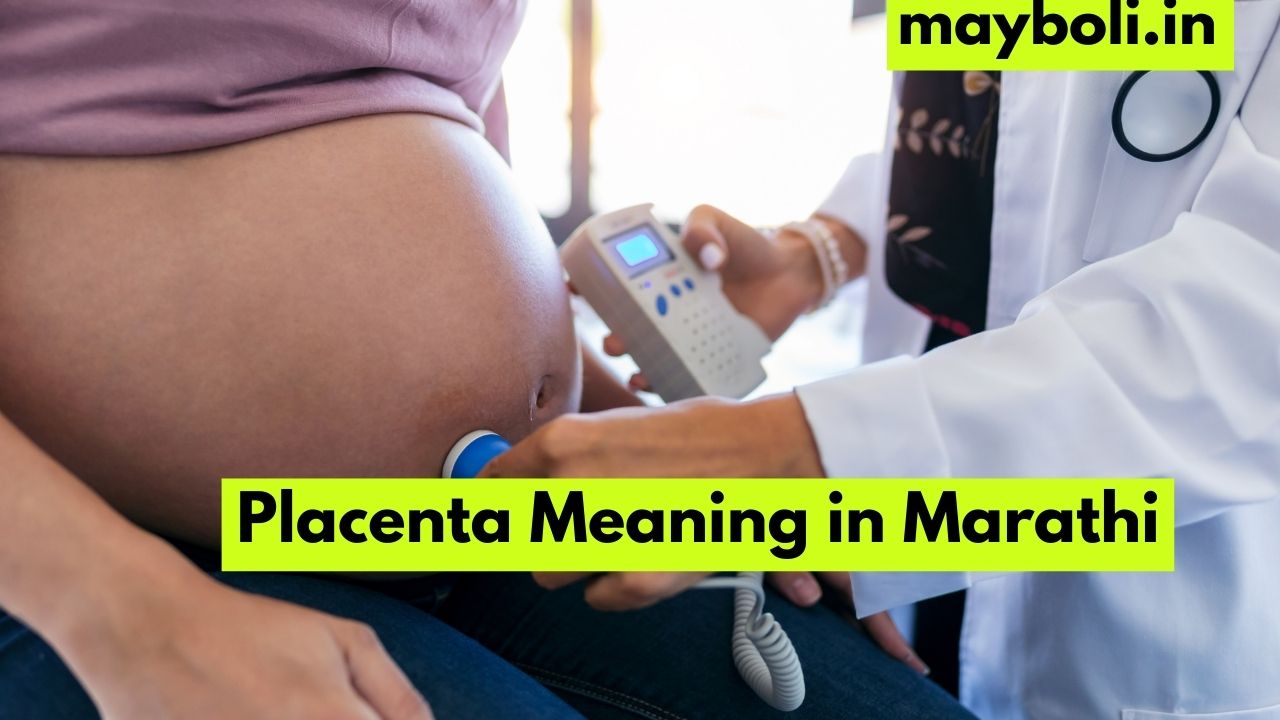 Placenta Meaning In Marathi placenta-meaning-in-marathi